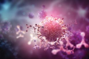 Health Packages | Full Body Checkup Near Me | HOD