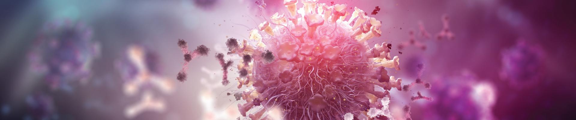 Test Related to Blood Infections | HOD